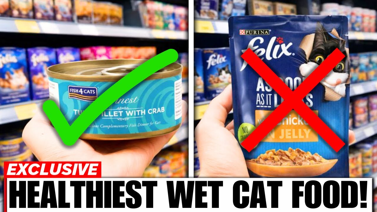 9 UK Wet Cat Food Brands You Must Start Buying For Your Cat’s Health