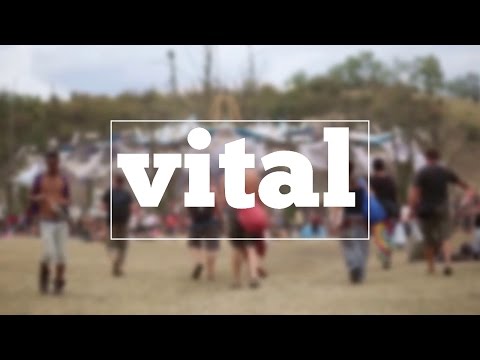 How do you spell vital?