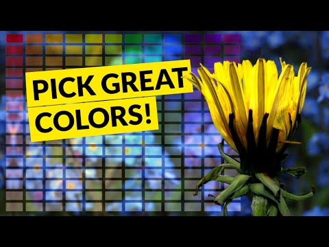 Color schemes for a gorgeous garden (pro tips)