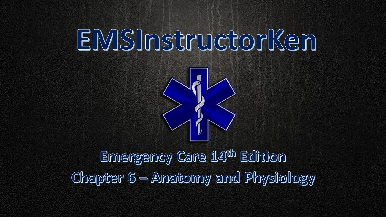 EMT Chapter 6 - Anatomy and Physiology