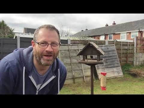 Keeping pigeons off your bird table