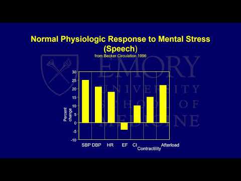 Psychological Stress and Arrhythmogenesis