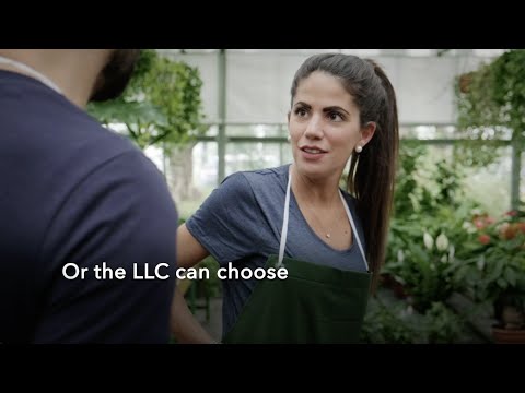 Law Series Video #2: Overview of Limited Liability Companies and Corporations