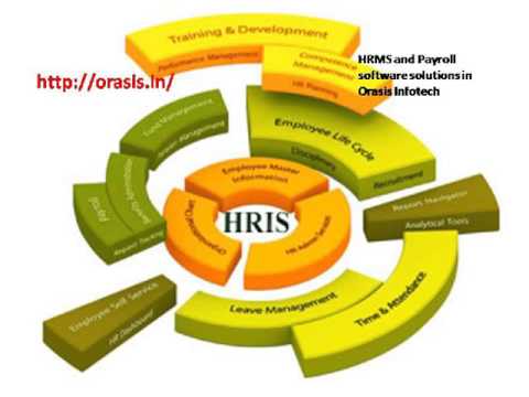 Orasis Infotech-Savvy HRMS and Payroll Software