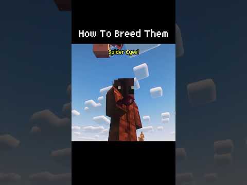 How To Breed Armadillos #shorts