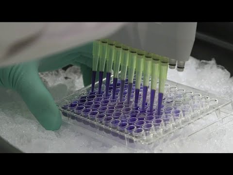 MD Anderson launches James P. Allison Institute to develop new treatments for immunotherapy
