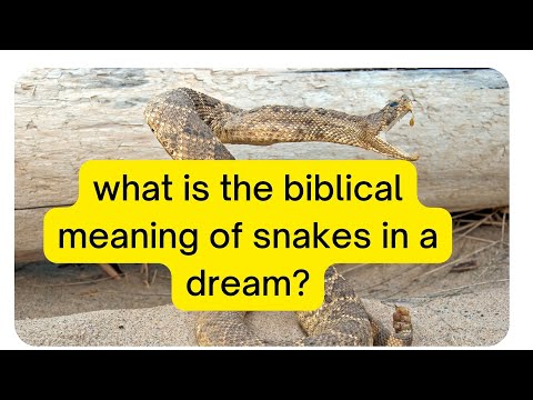 What Is The Biblical Meaning Of Snakes In A Dream | What does God say about snakes in the Bible?