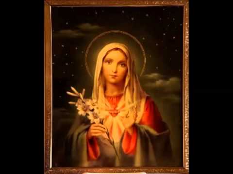 Homily for the Feast of the Immaculate Heart of Mary | Catholicism Pure ...