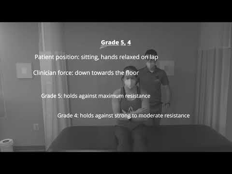 Manual Muscle Test for Scapular Elevation