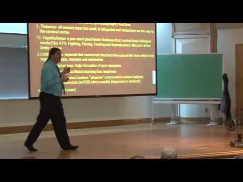 Biological Foundations of Behavior: Central Nervous System Part I