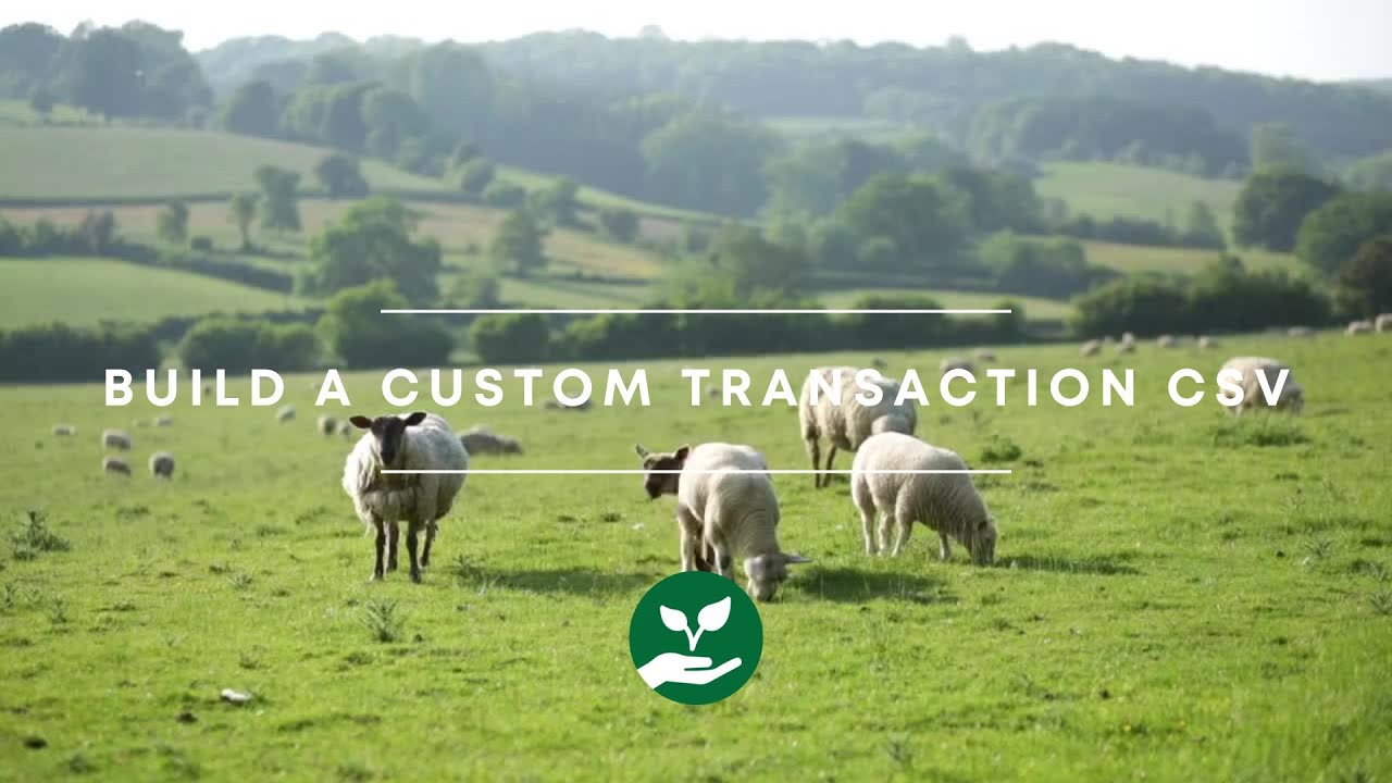 How to Build a Custom Transactions CSV