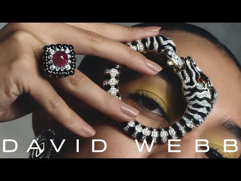 David Webb | Verve
