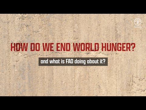 FAO Explainer