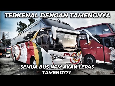 SEMUA BUS NPM AKAN LEPAS TAMENG?? VIEW PASTI SEMAKIN MANTAP || MENANTI ARMADA MINANG DI PONPIN