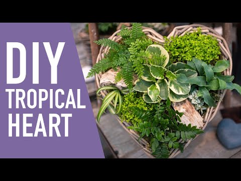 ๐ Tropical Heart Planter || West Coast Gardens