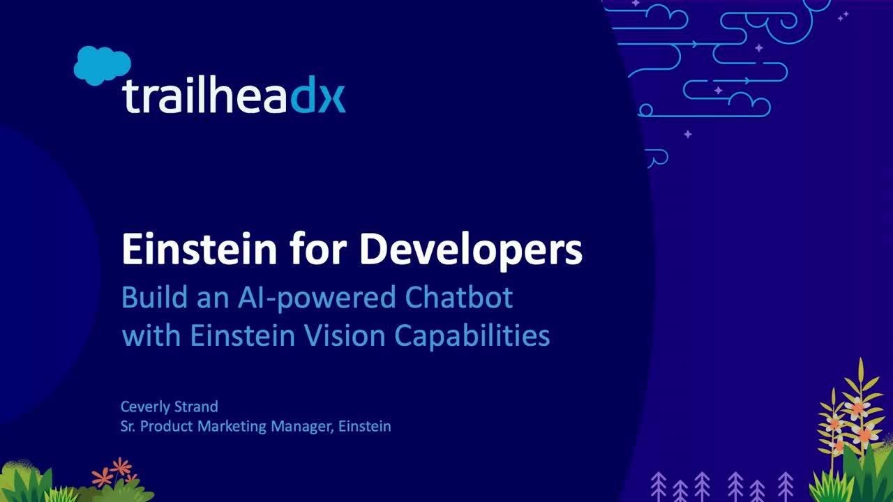 Einstein for Developers