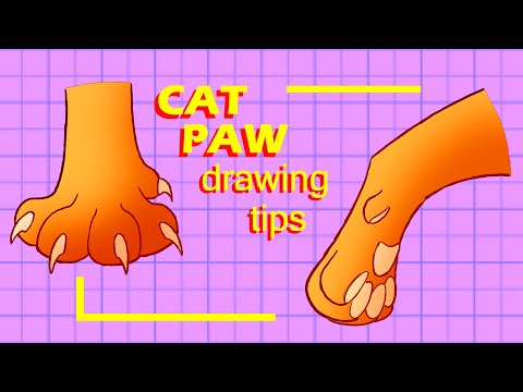 Cat PAW - Drawing Tips