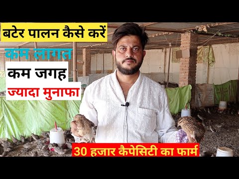 बटेर पालन की जानकारी | How To Start Quail Farming business in India | Quail Bird Meaning In Hindi