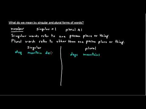 What do we mean by singular and plural forms of words?