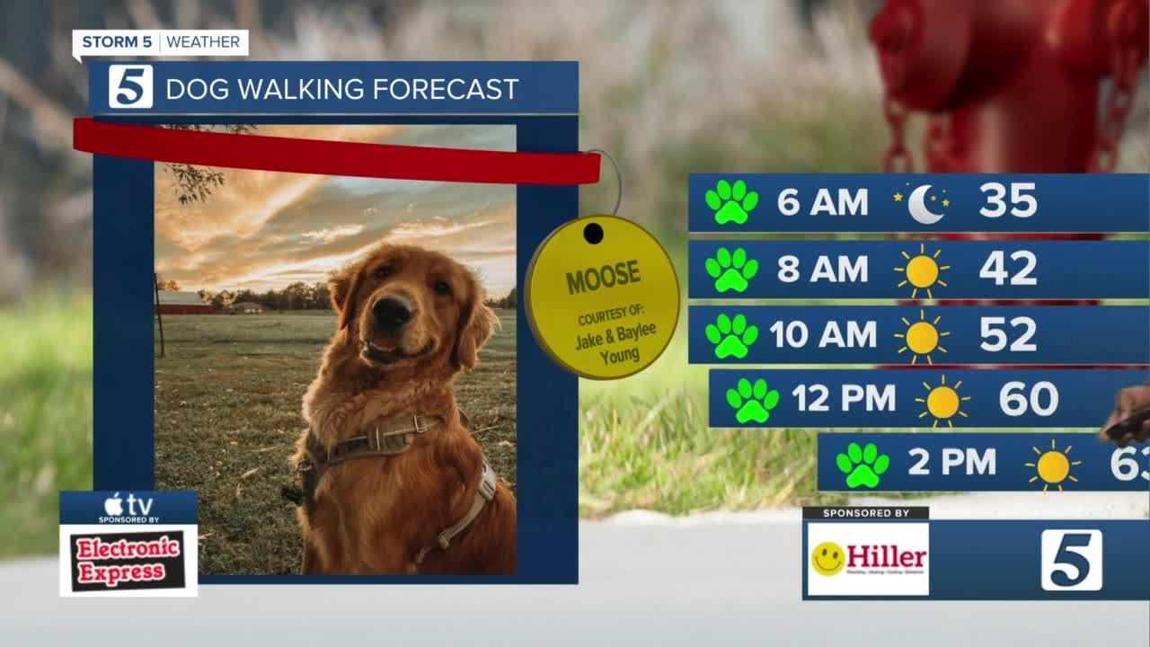 Lelan and Nikki-Dee's early morning forecast: Tuesday, February 1, 2022