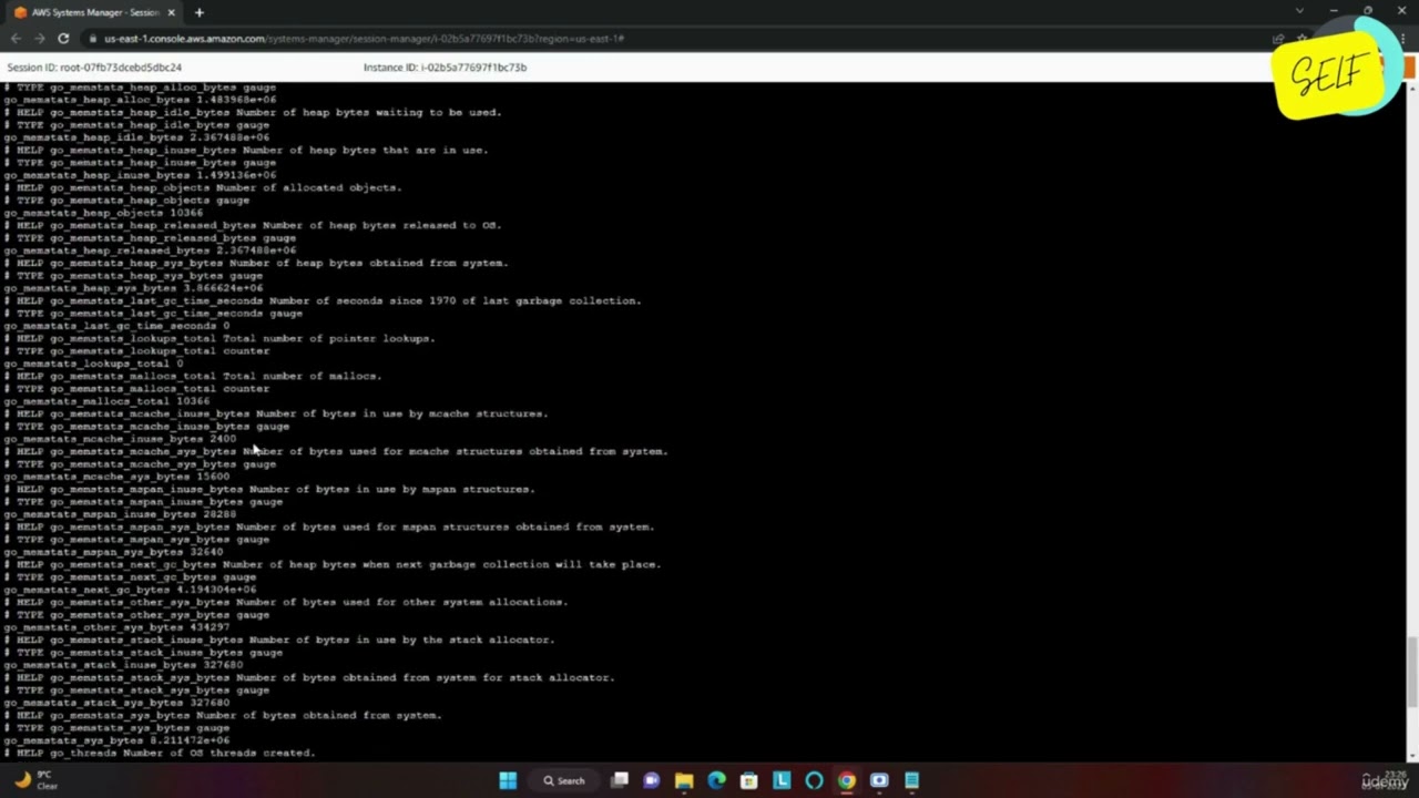 Instrumenting Go application for Prometheus using official client library