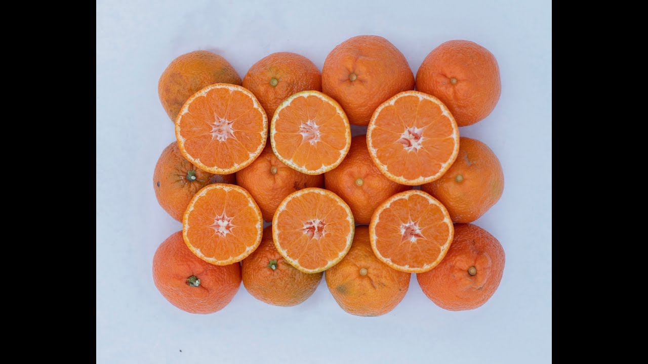 Satsuma Mandarin | Phil's Ingredient Show