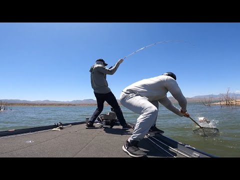We Found a HUGE School Of Fish - Plus An 8.5 Pounder!!