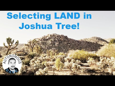 Selecting Land in Joshua Tree!