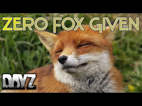 Steam Community :: Video :: Beav - DayZ Standalone - Zero Fox Given