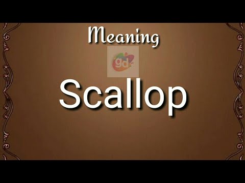 Scallop Meaning with Pronunciation//Googul Dictionary//