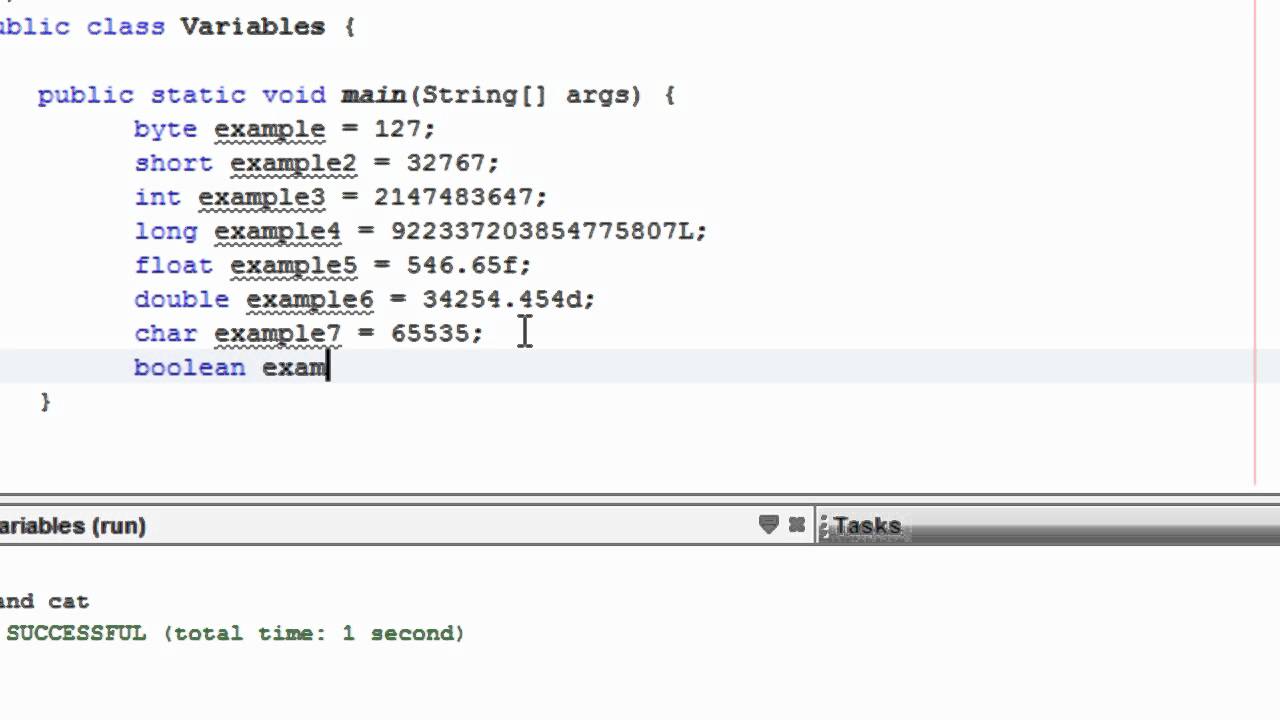 Java Tutorial 3.2 Java Jdk 7: Variables
