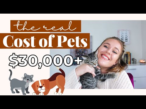 THE REAL COST OF OWNING A PET | how much do pets cost?!