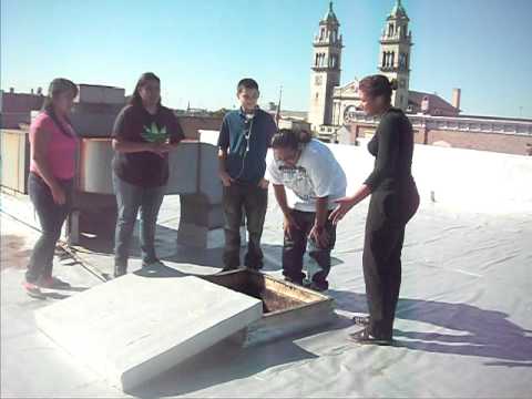ASk Crew