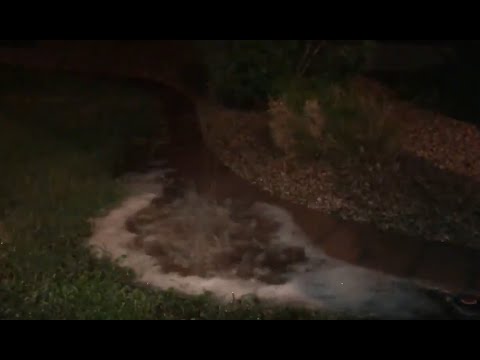 RAW VIDEO: Enough rain pours in Mesa to form big puddles