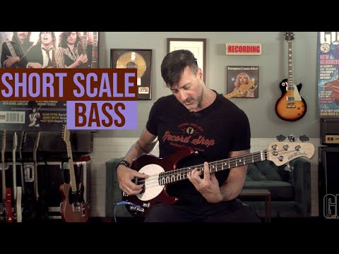 Ernie Ball Music Man short-scale StingRay bass demo