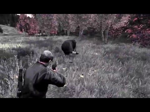 Steam Community :: Video :: Dayz 0.59 dancing cow