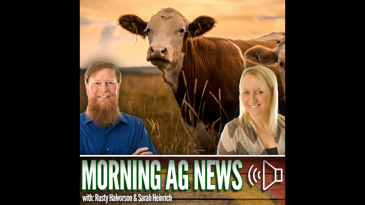 Morning Ag News, May 5, 2026: New USDA cattle dashboard now available