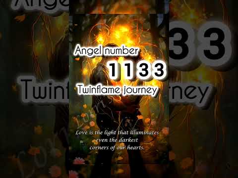 Angel number 1133 meaning in Twinflame connection #angelnumbers #twinflame #hindi #1133 #shorts