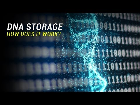 DNA could store all of the world's data in a single room