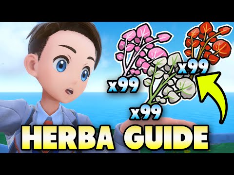 🌿 BEST HERBA MYSTICA FARMING GUIDE For Pokemon Scarlet & Violet