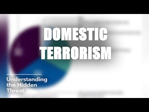 Domestic Terrorism: What You Must Know 🚨