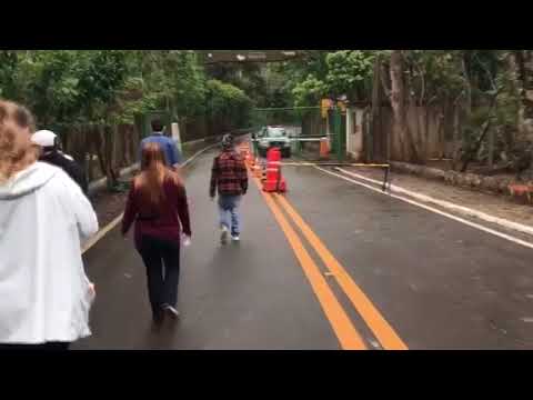 video estudo do meio