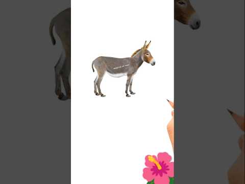 গাধা meaning in english#youtube #ytshort #youtubeshorts #viral #vocabulary#wordmeaning