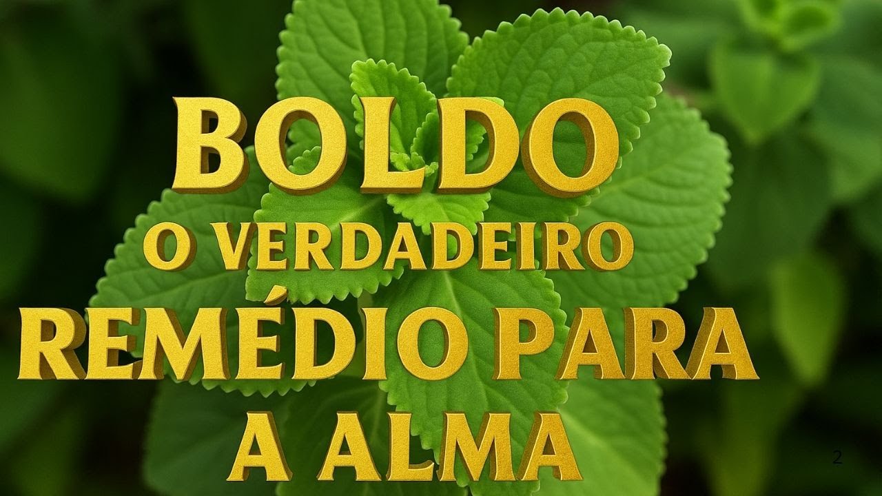 Boldo in Umbanda - Oxalá's Carpet