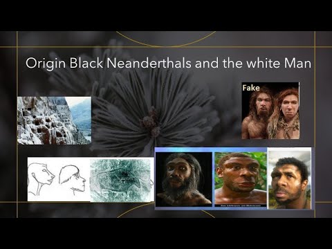 Dr. Clyde Winters on Origin Black Neanderthals and the white Man