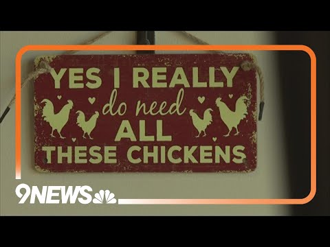 Rising egg costs forces bakery in Parker to raise prices
