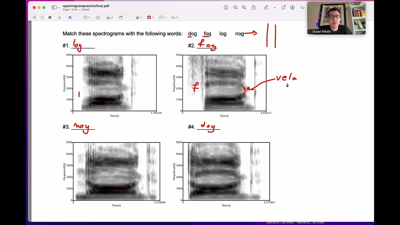 Linguistics 341 - Introduction to Phonetics - Spectrogram Reading Practice1