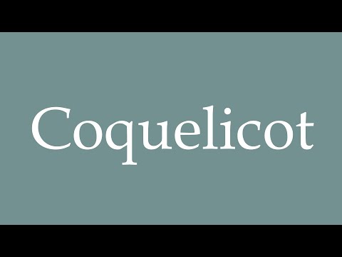 How to Pronounce ''Coquelicot'' Correctly in French