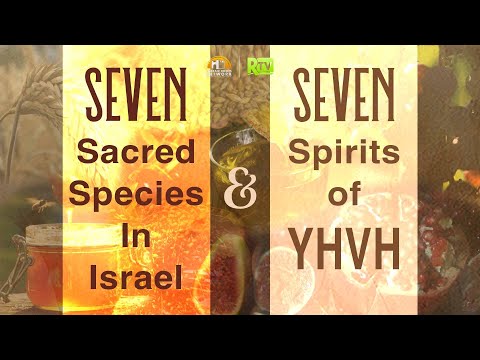 Seven Sacred Species in Israel & Seven Spirits of YHVH Ep 4