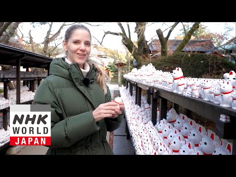Along the Setagaya Line: A Taste of the Slow Life - Dive in Tokyo